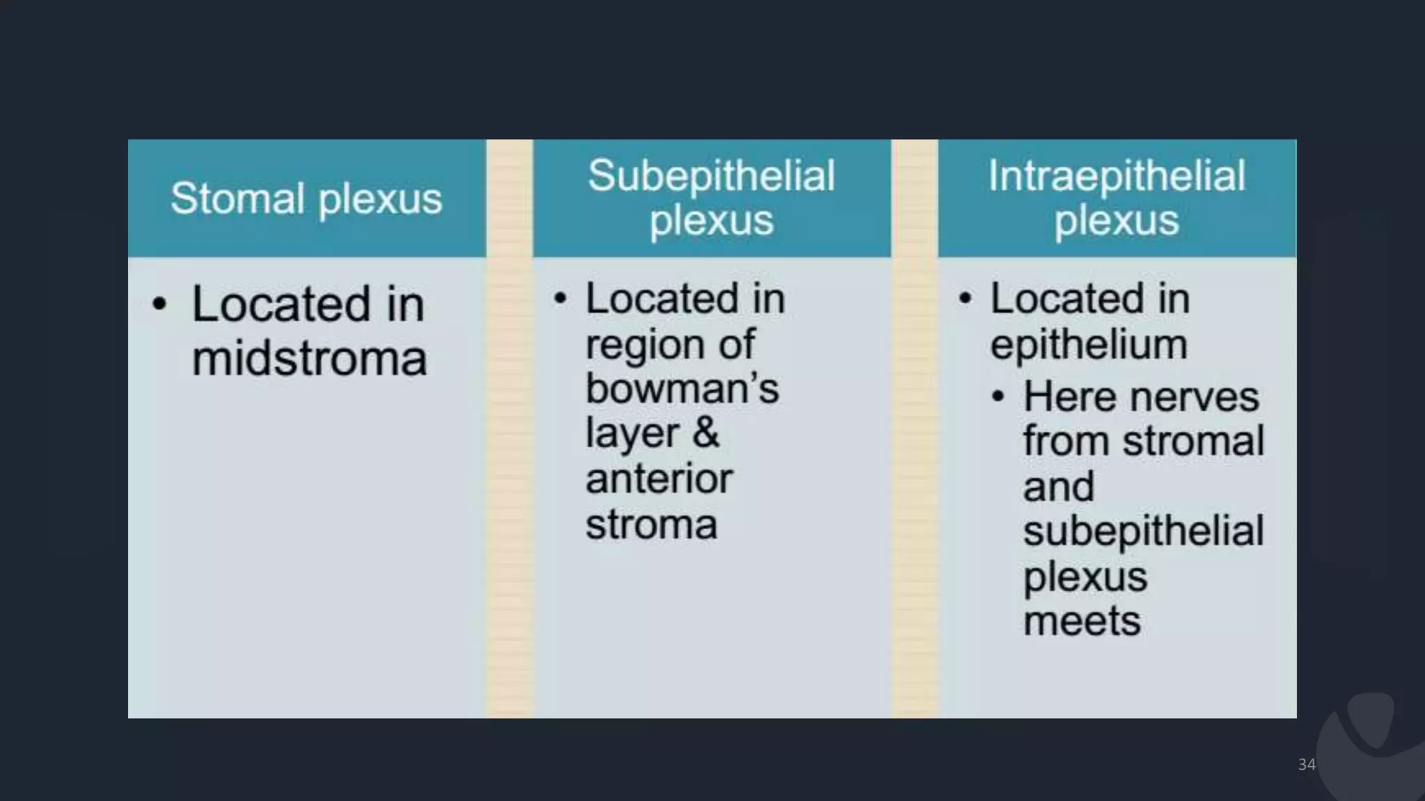 Anatomy Of Cornea And Sclera Pptx