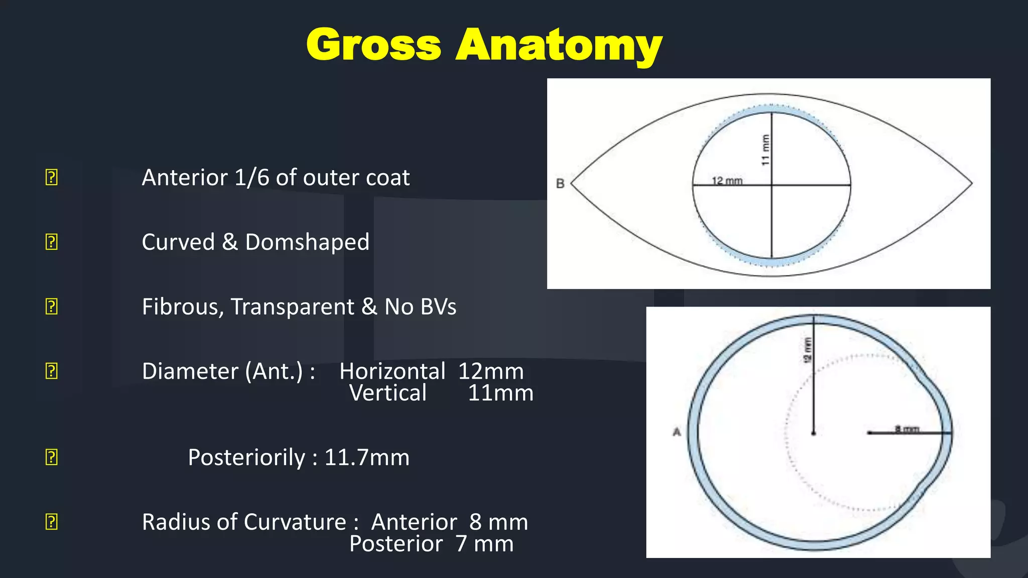 Anatomy of cornea and sclera | PPTX