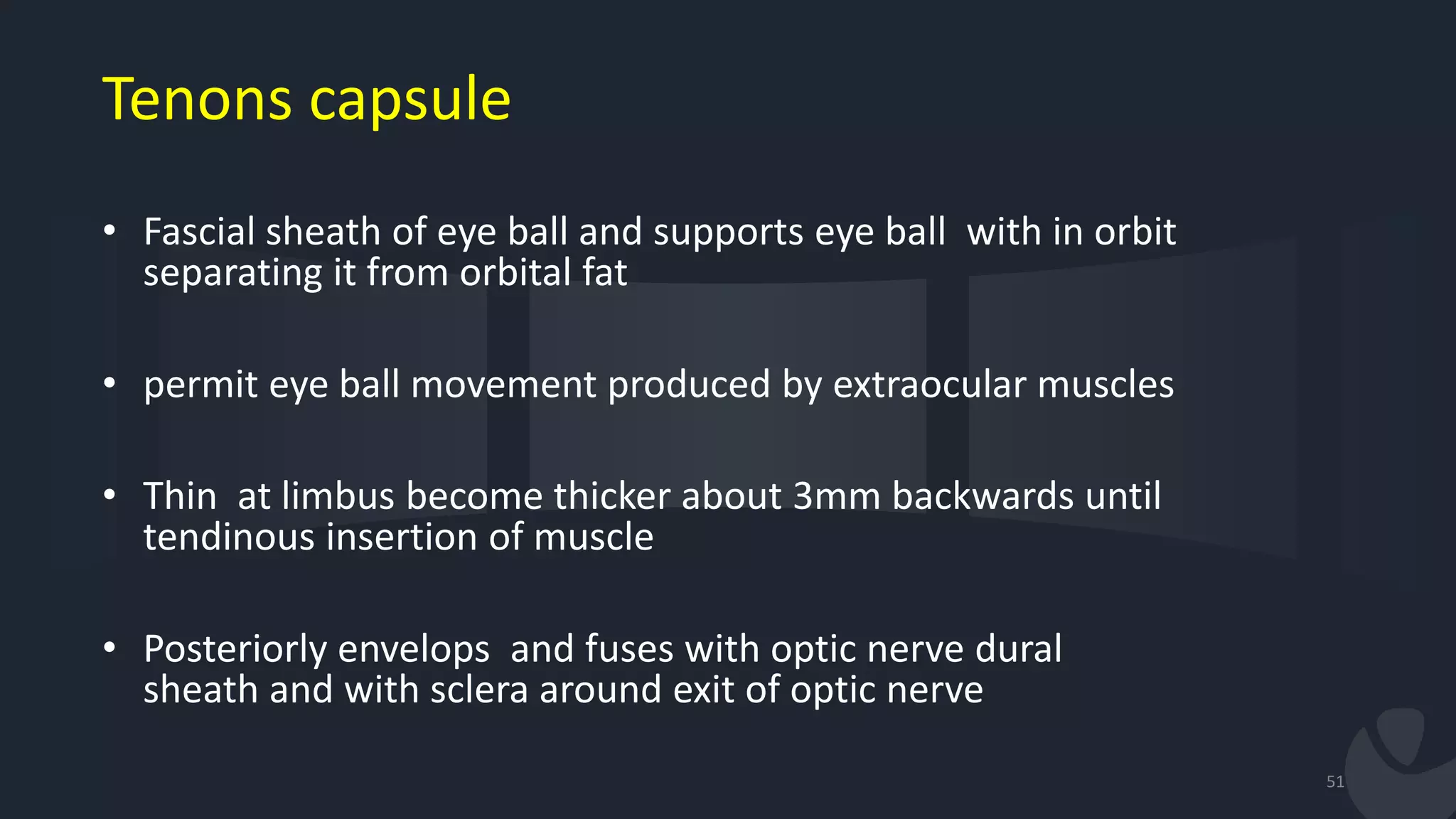 Anatomy of cornea and sclera | PPTX