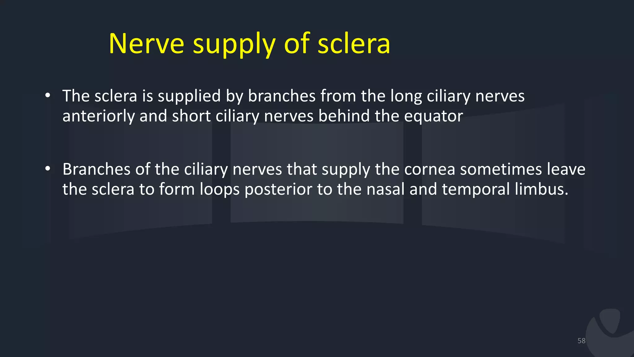 Anatomy of cornea and sclera | PPTX