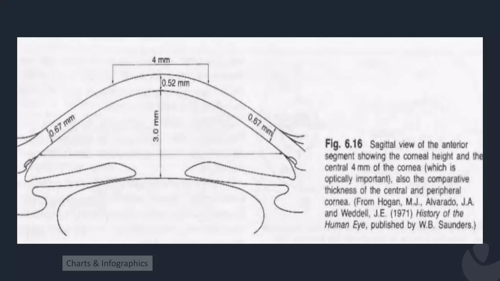 Anatomy Of Cornea And Sclera Pptx