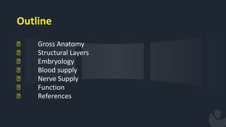 Anatomy of cornea and sclera | PPTX