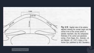 Anatomy of cornea and sclera | PPTX