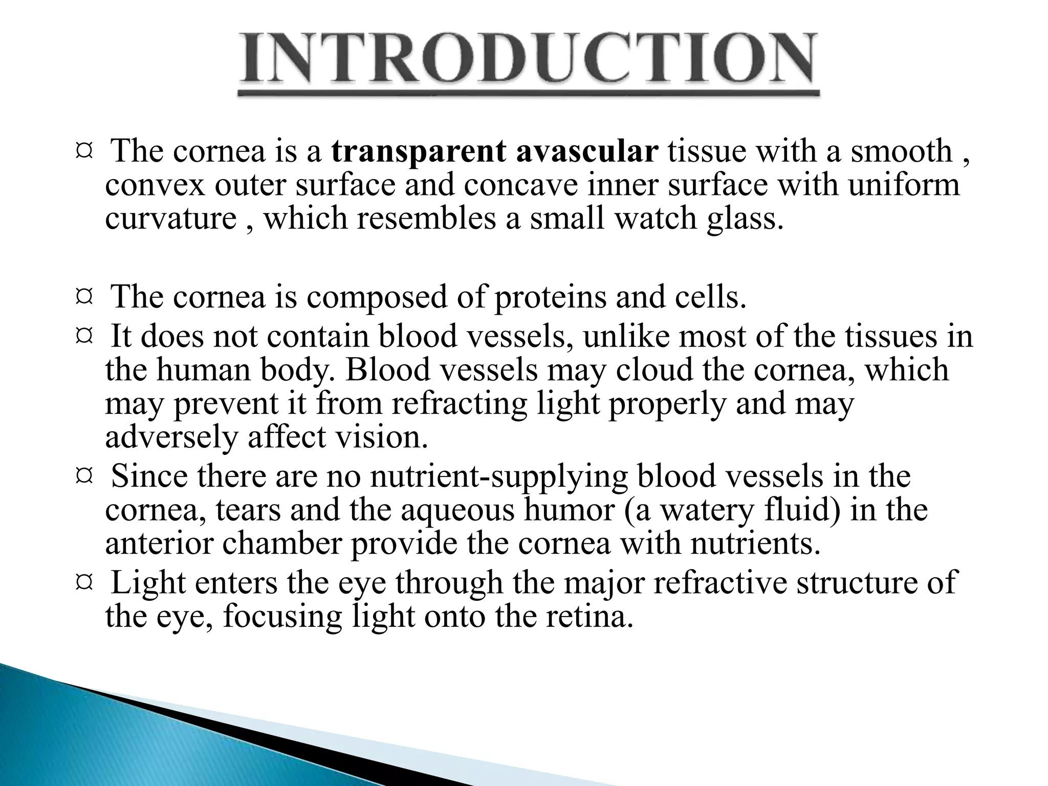 Anatomy of cornea by alamin | PPTX