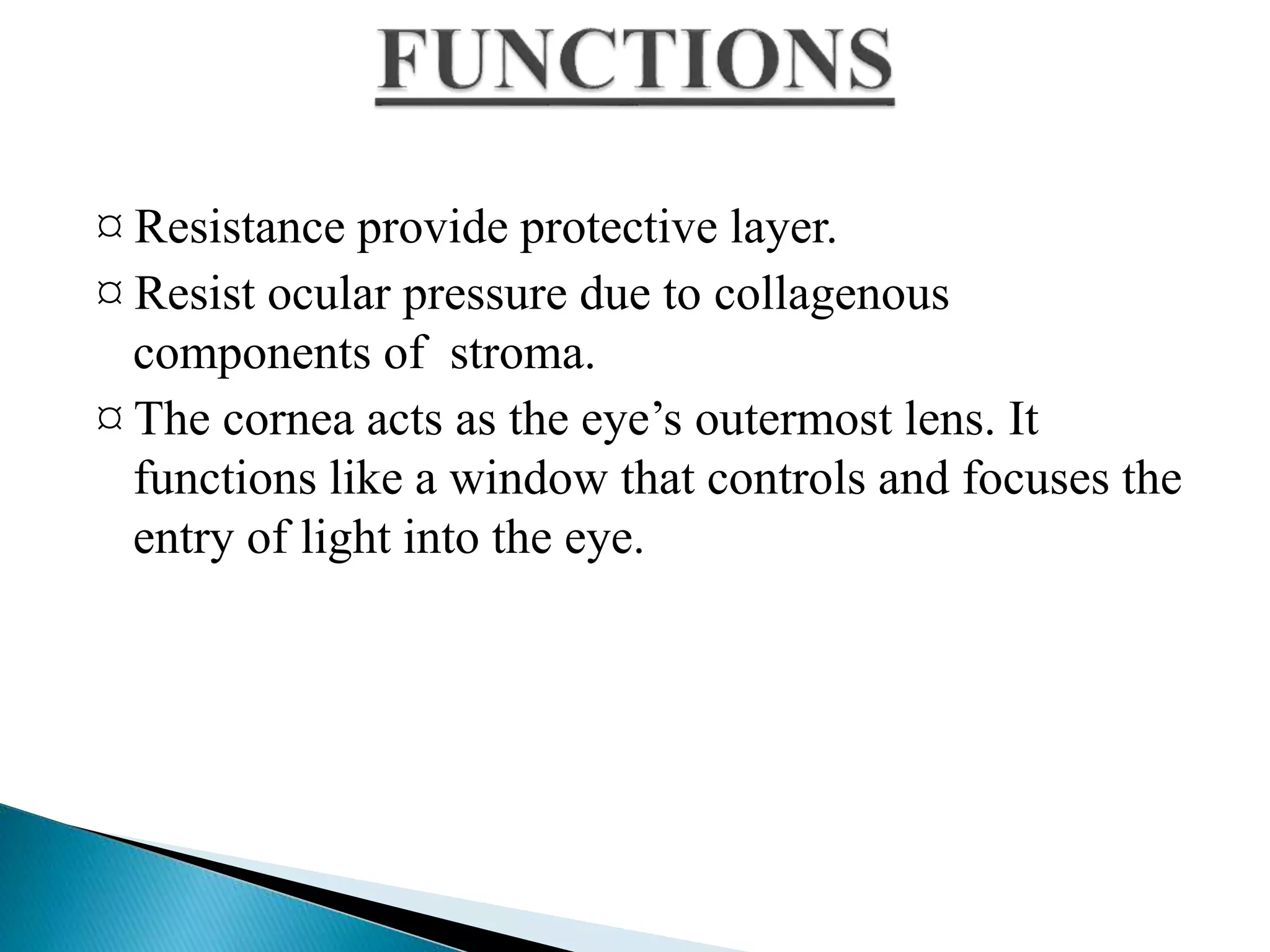Anatomy of cornea by alamin | PPTX