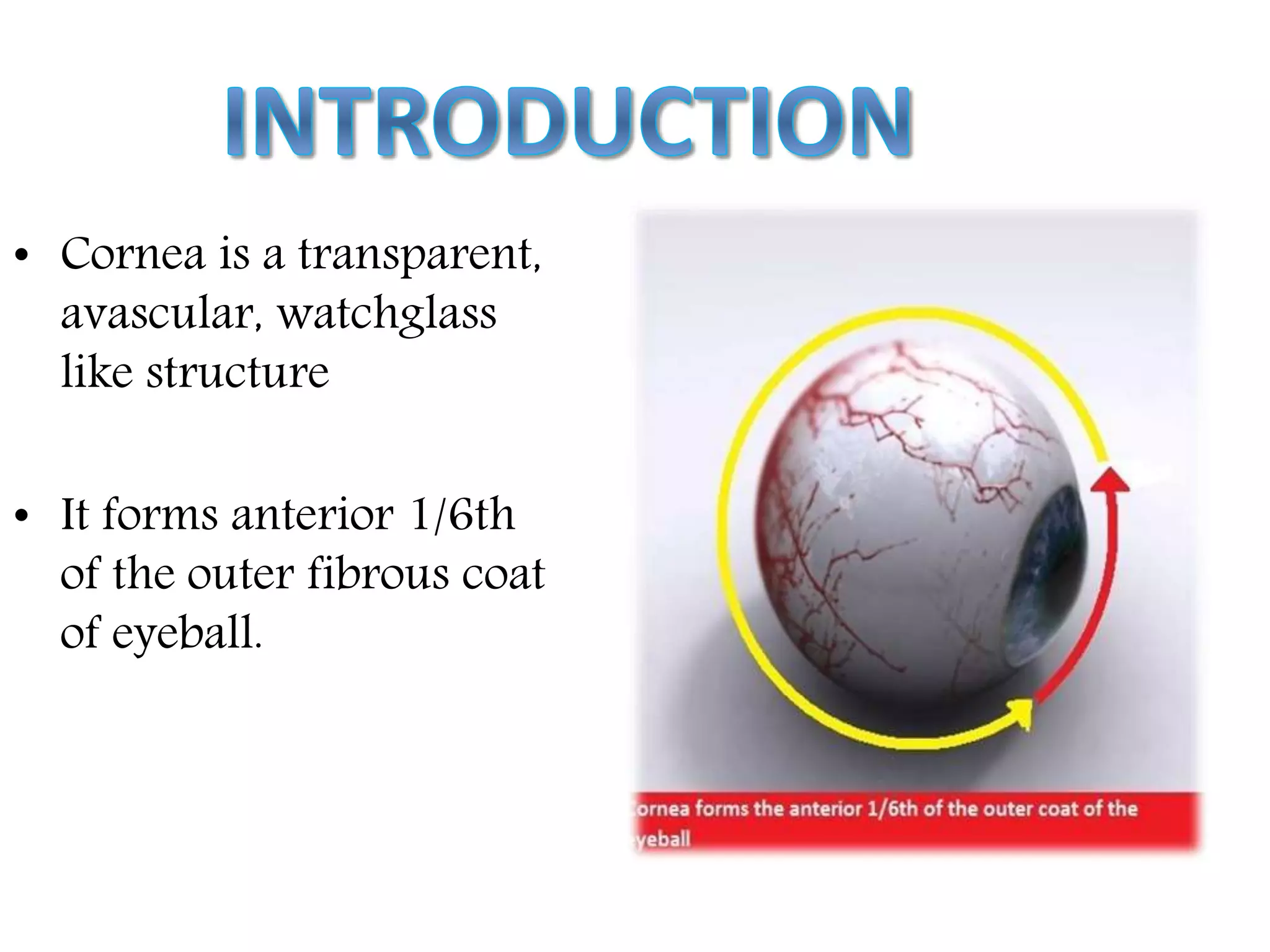 Anatomy of cornea & corneal tranparency dr.ysr