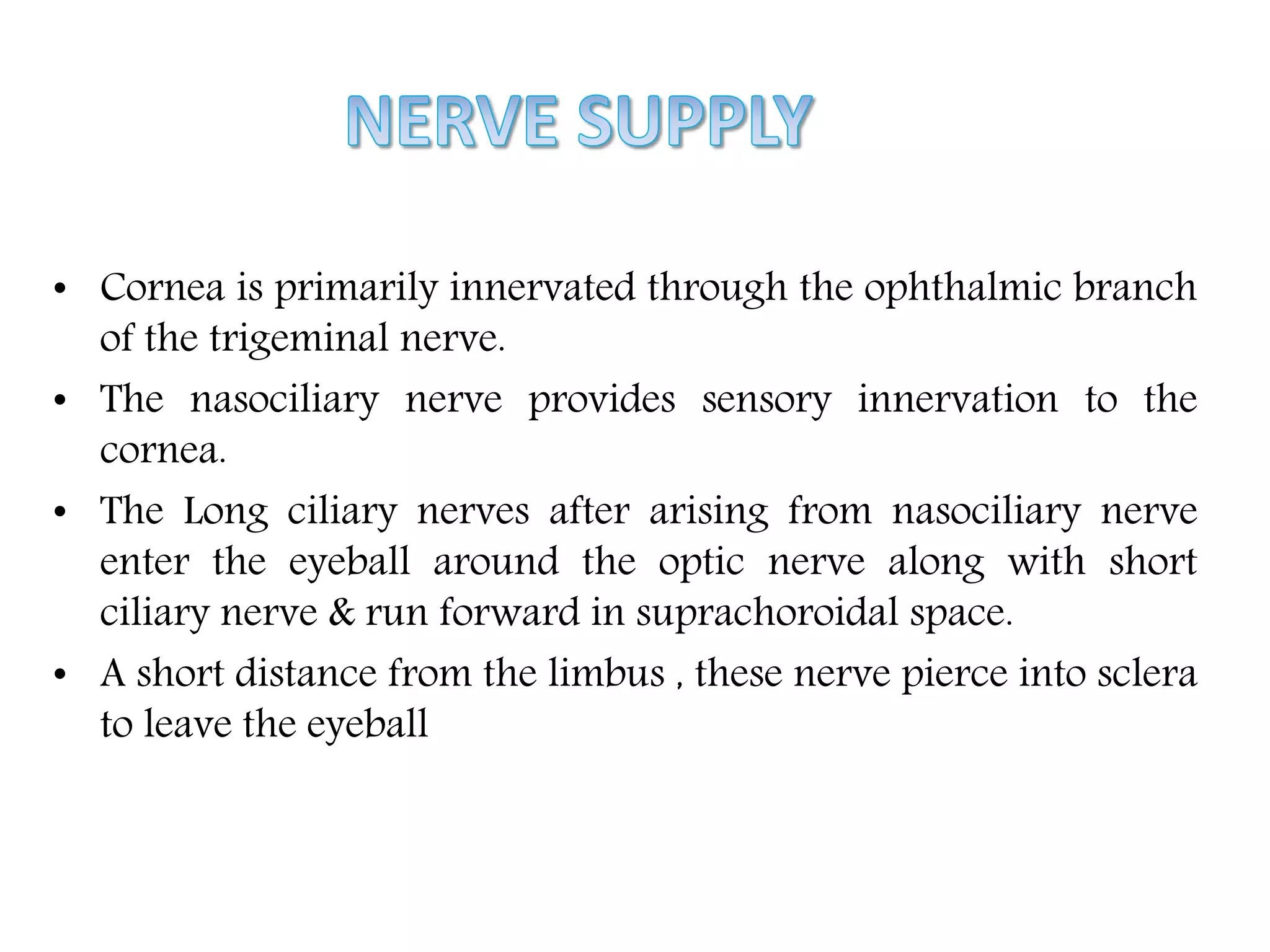Anatomy of cornea & corneal tranparency dr.ysr