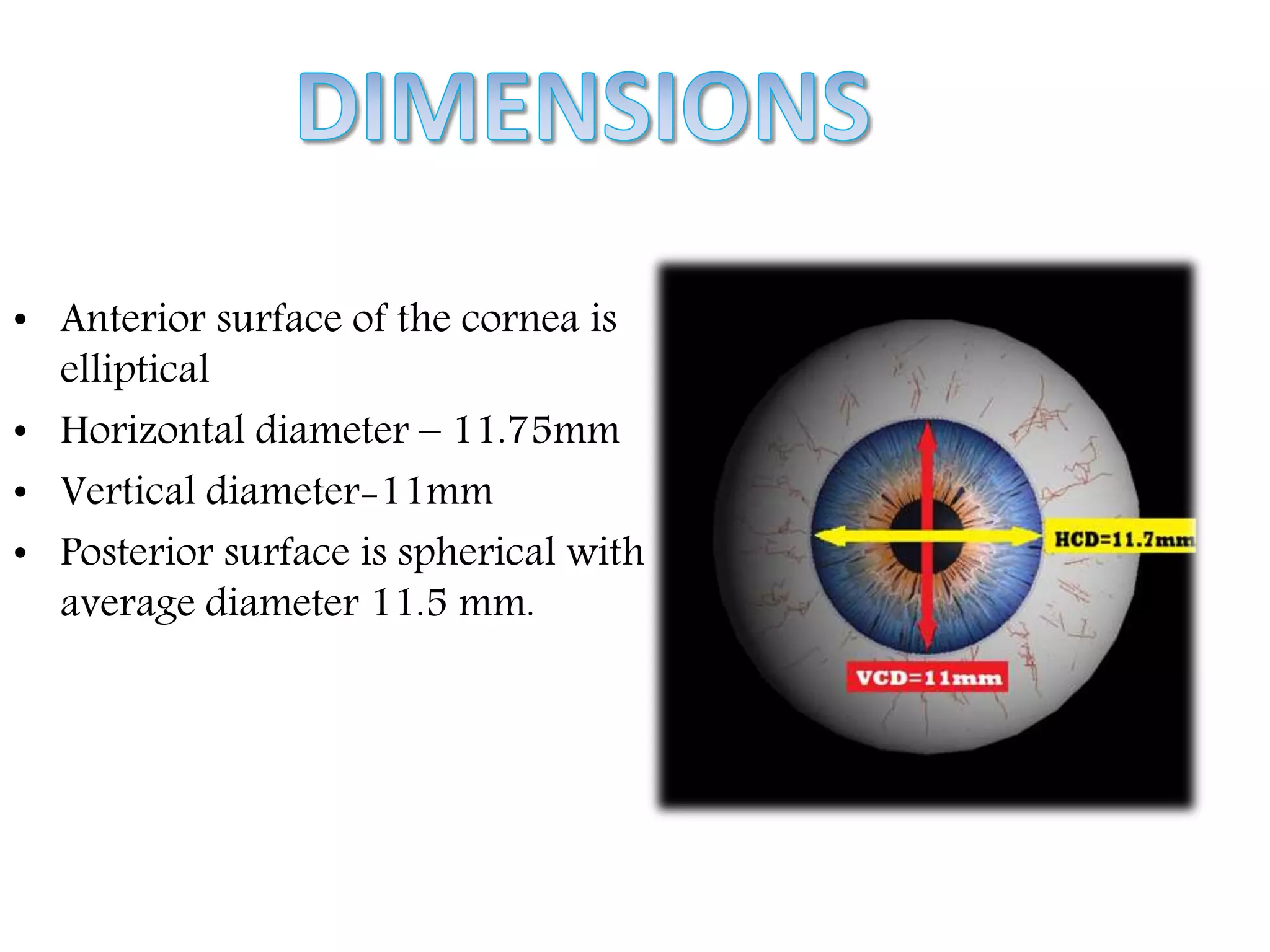 Anatomy of cornea & corneal tranparency dr.ysr