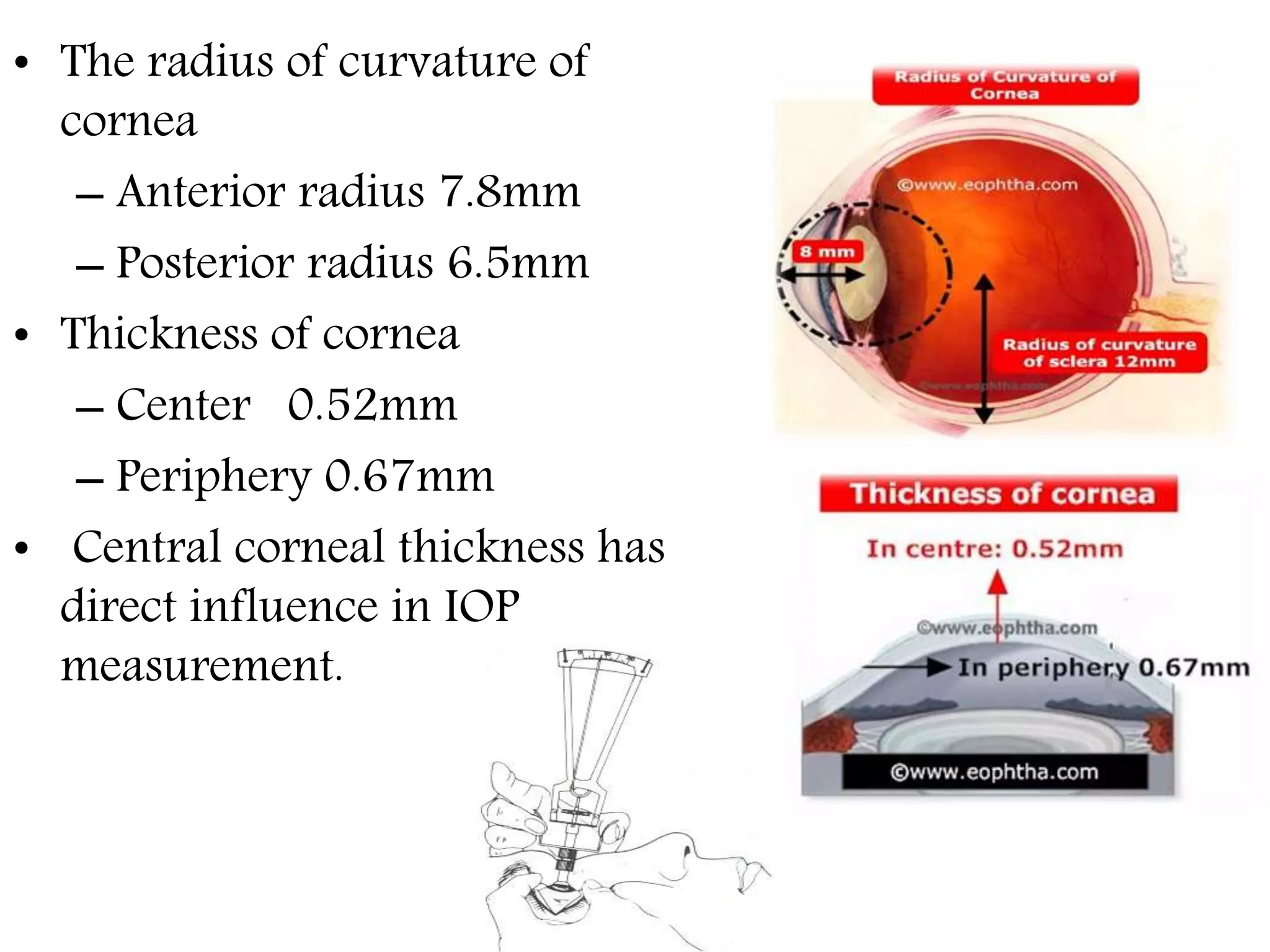 Anatomy of cornea & corneal tranparency dr.ysr