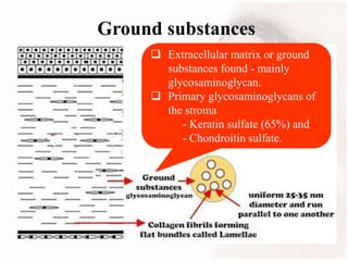 Anatomy of cornea of dr. sohel mahmud | PPTX