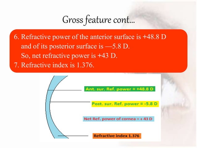 Anatomy of cornea of dr. sohel mahmud | PPTX