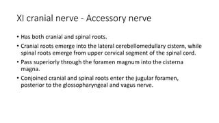 ANATOMY AND IMAGING OF CRANIAL NERVES.pptx