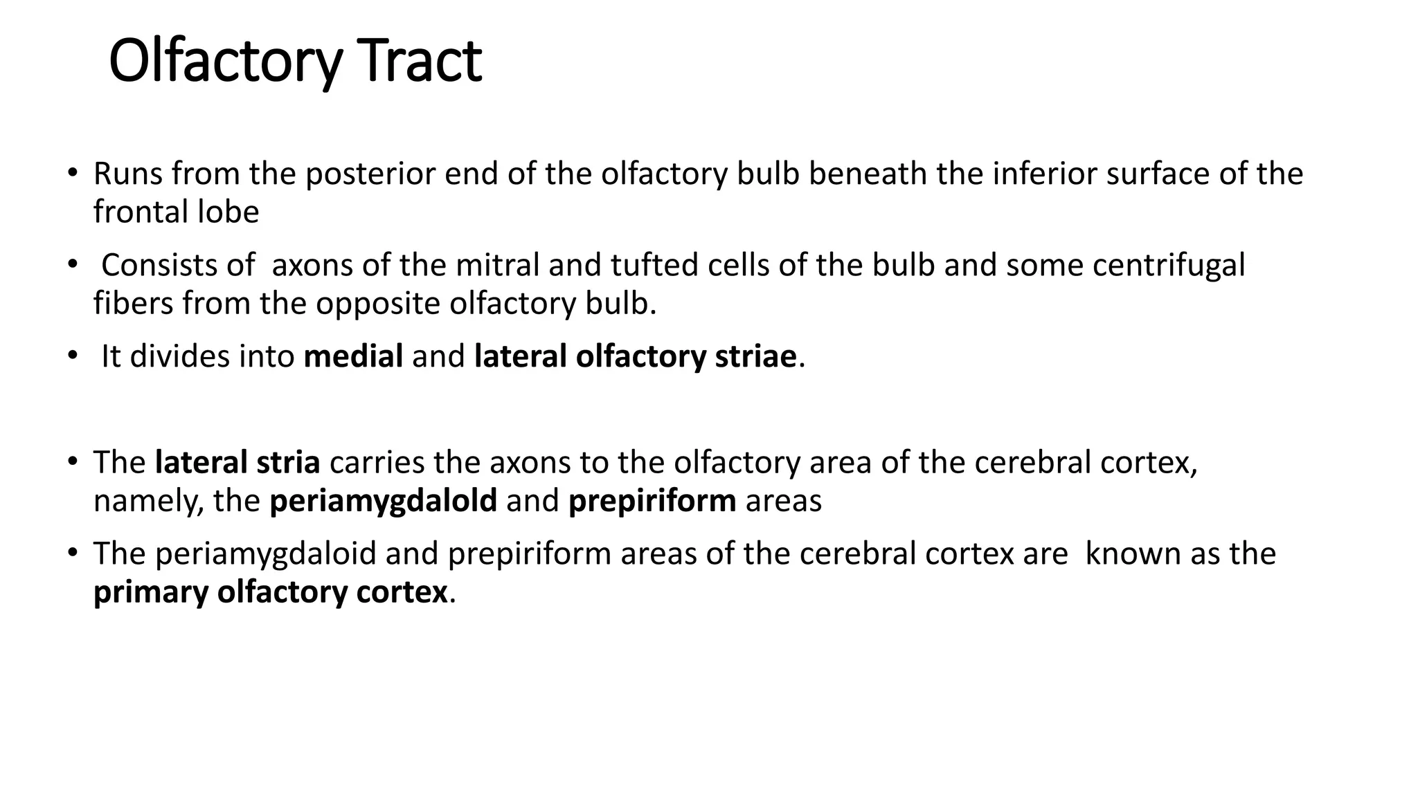 Anatomy of Olfactory nerve, Optic Nerve, Trigeminal Nerve | PPTX