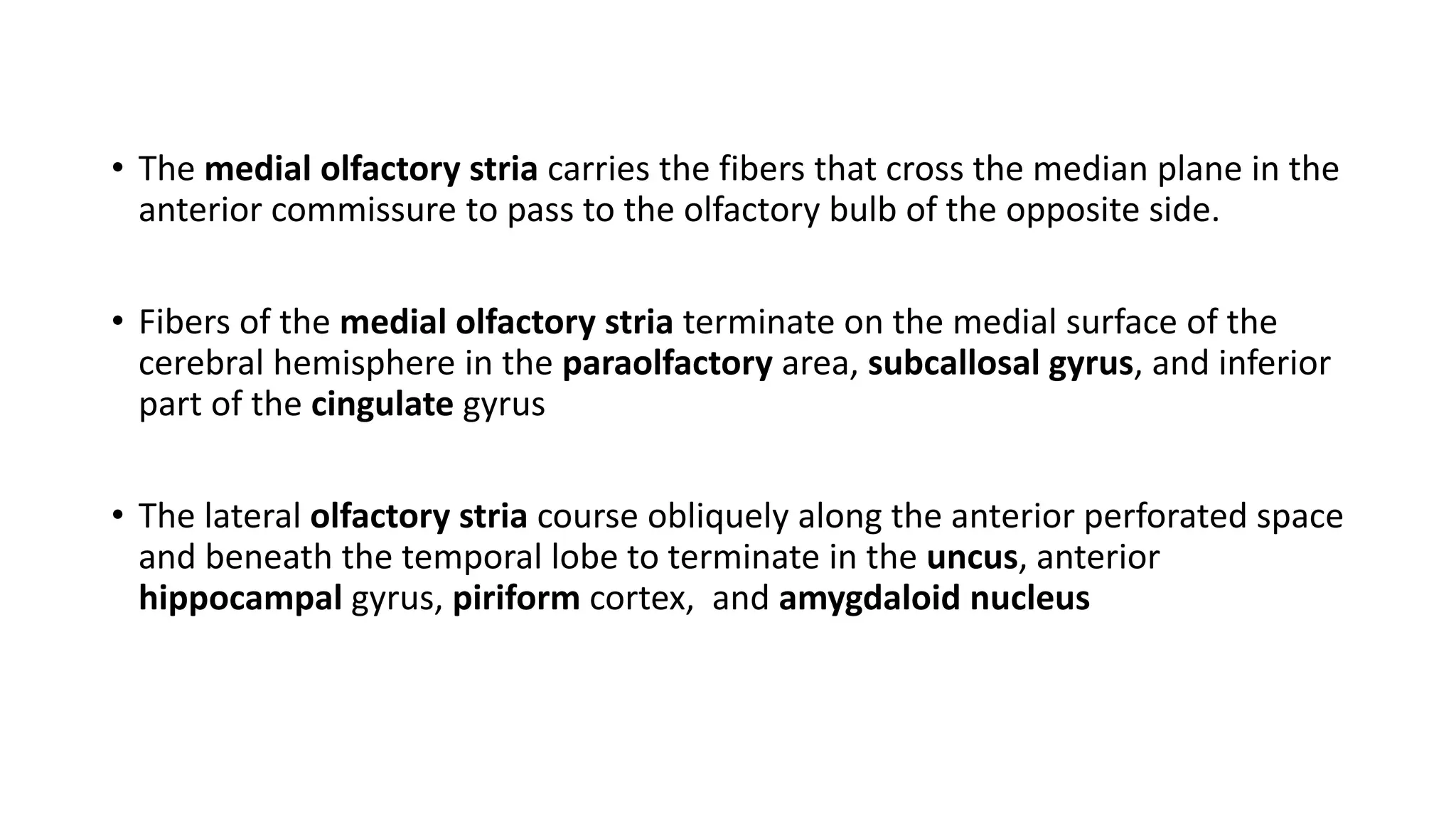 Anatomy of Olfactory nerve, Optic Nerve, Trigeminal Nerve | PPTX