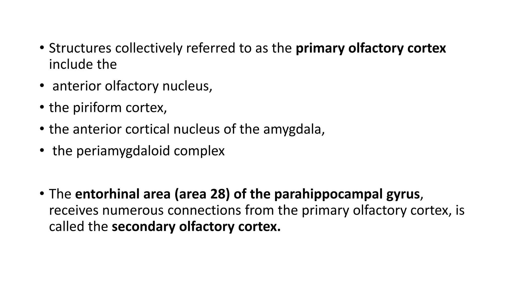 Anatomy of Olfactory nerve, Optic Nerve, Trigeminal Nerve | PPTX