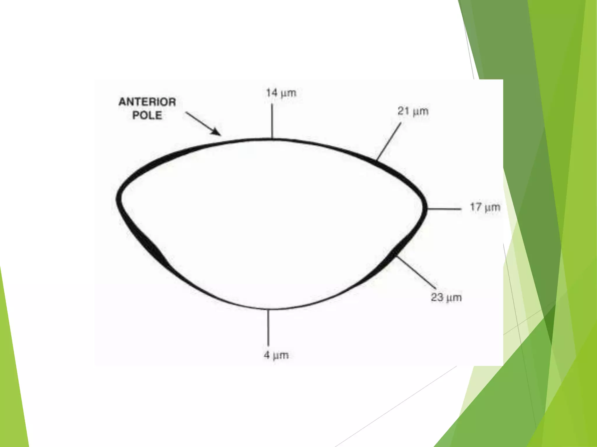 Anatomy of crystalline lens by Dr. Aayush Tandon | PPTX