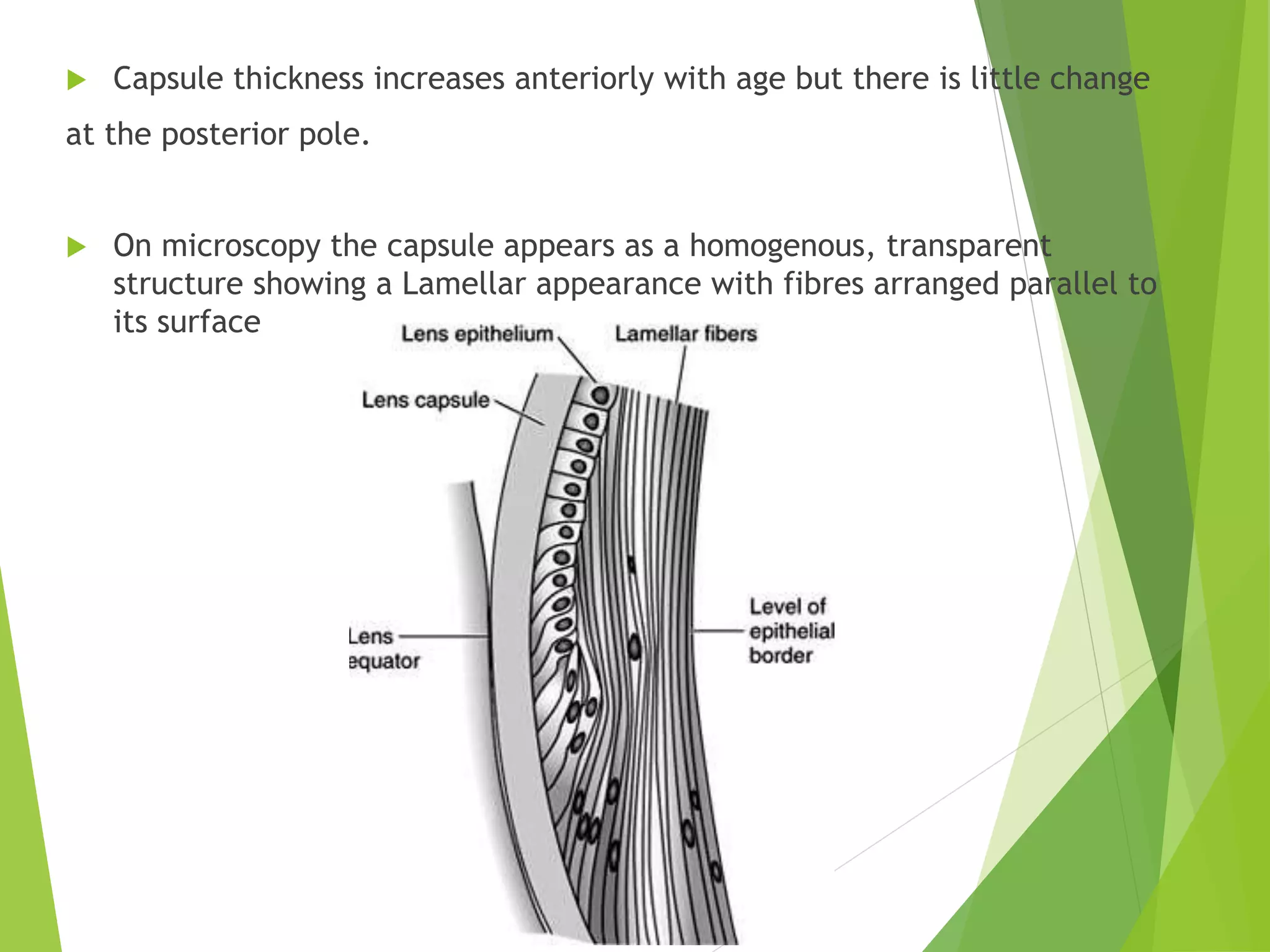 Anatomy of crystalline lens by Dr. Aayush Tandon | PPTX