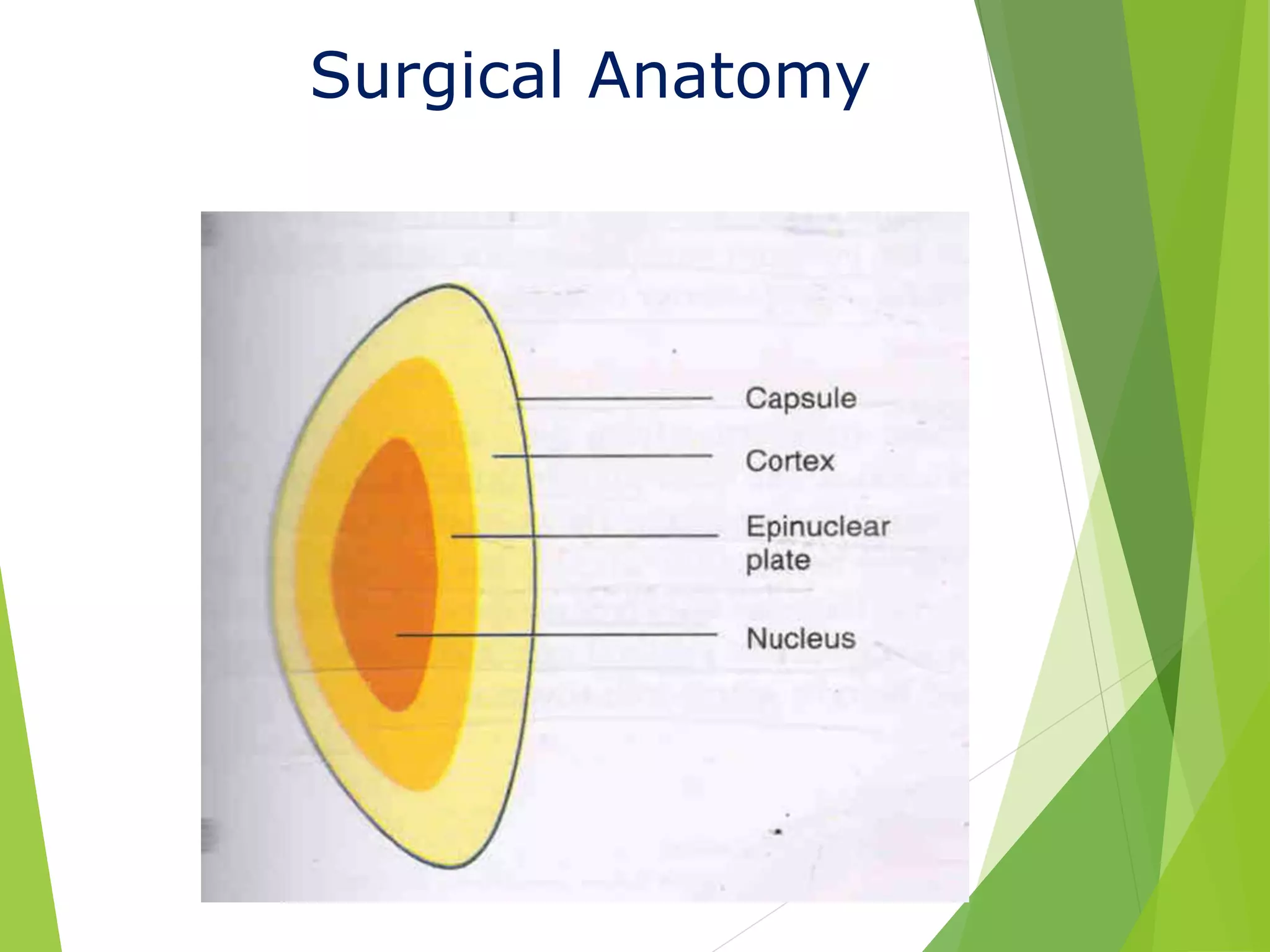 Anatomy of crystalline lens by Dr. Aayush Tandon | PPTX