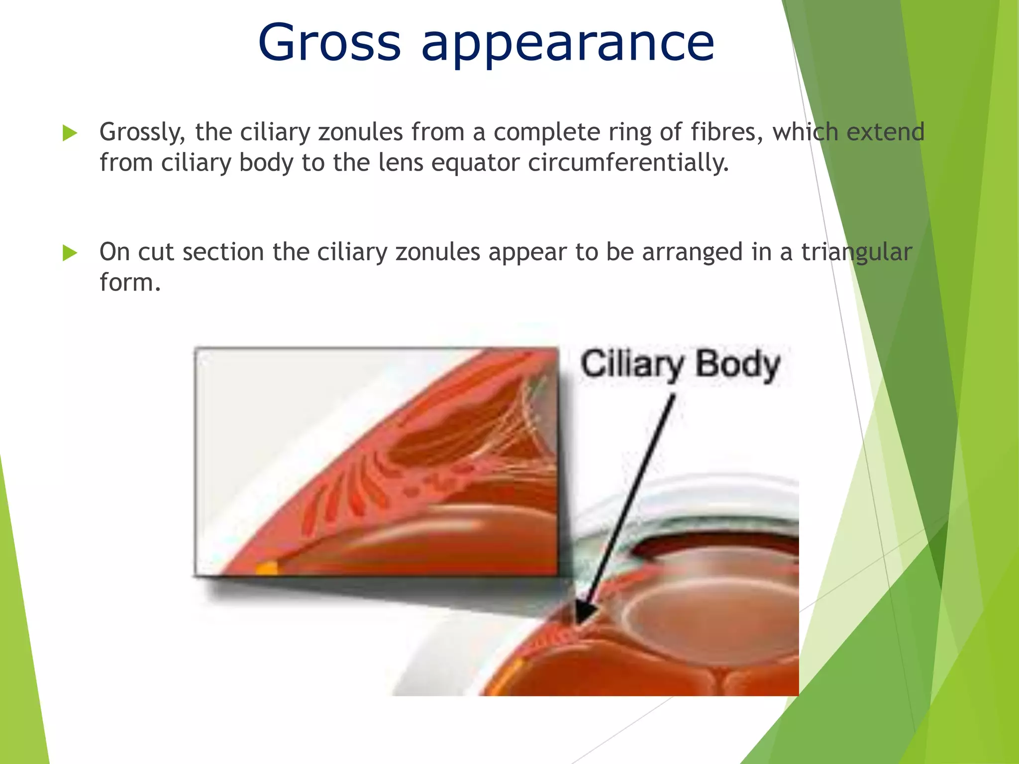 Anatomy of crystalline lens by Dr. Aayush Tandon | PPTX