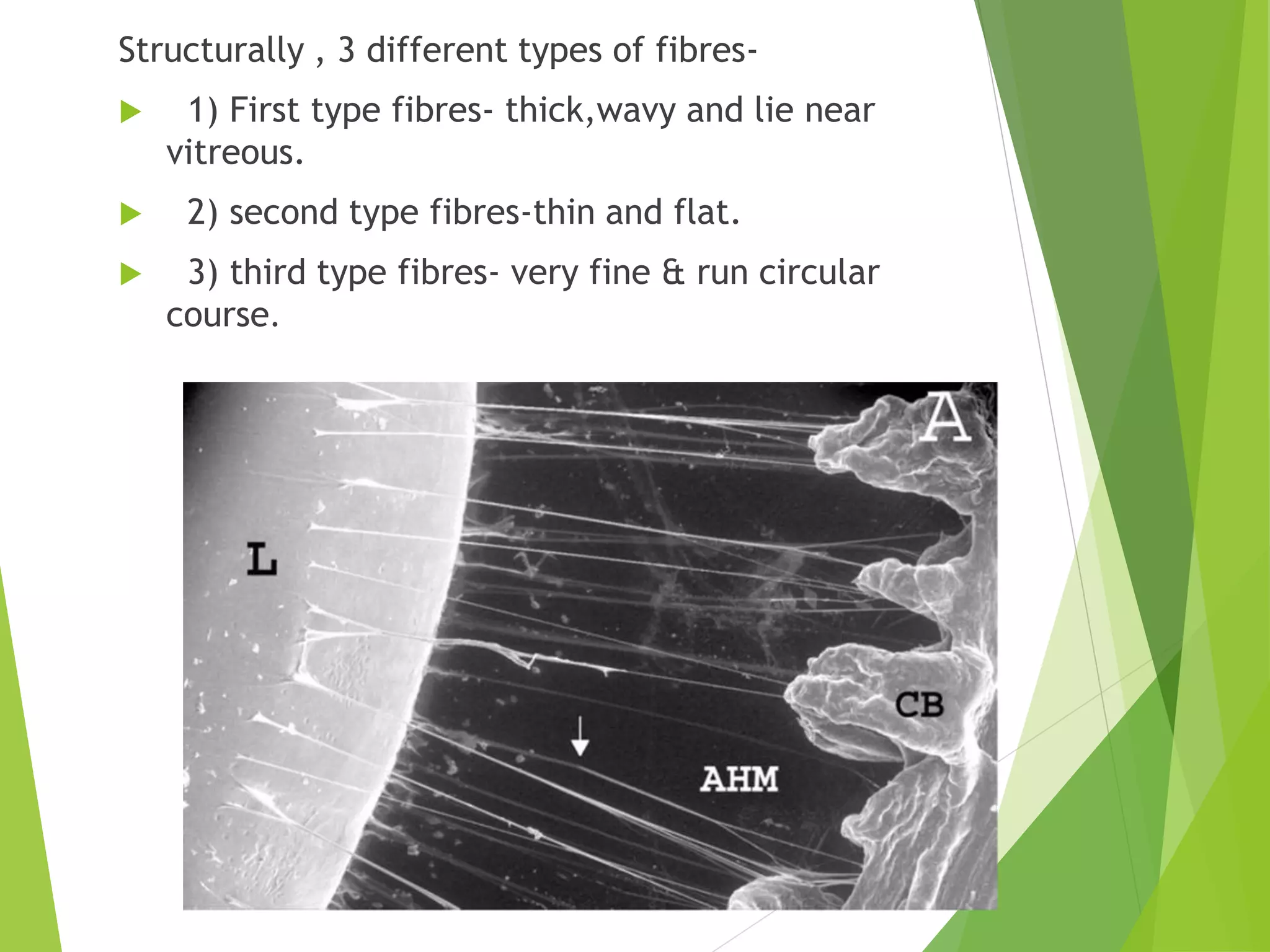 Anatomy of crystalline lens by Dr. Aayush Tandon | PPTX