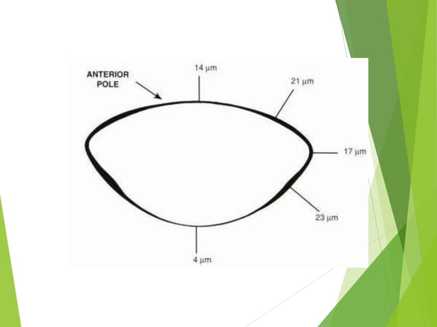 Anatomy of crystalline lens by Dr. Aayush Tandon | PPTX | Eye and ...