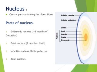 Anatomy of crystalline lens by Dr. Aayush Tandon | PPTX