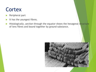 Anatomy of crystalline lens by Dr. Aayush Tandon | PPTX