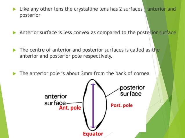 Anatomy of crystalline lens by Dr. Aayush Tandon | PPTX | Eye and ...