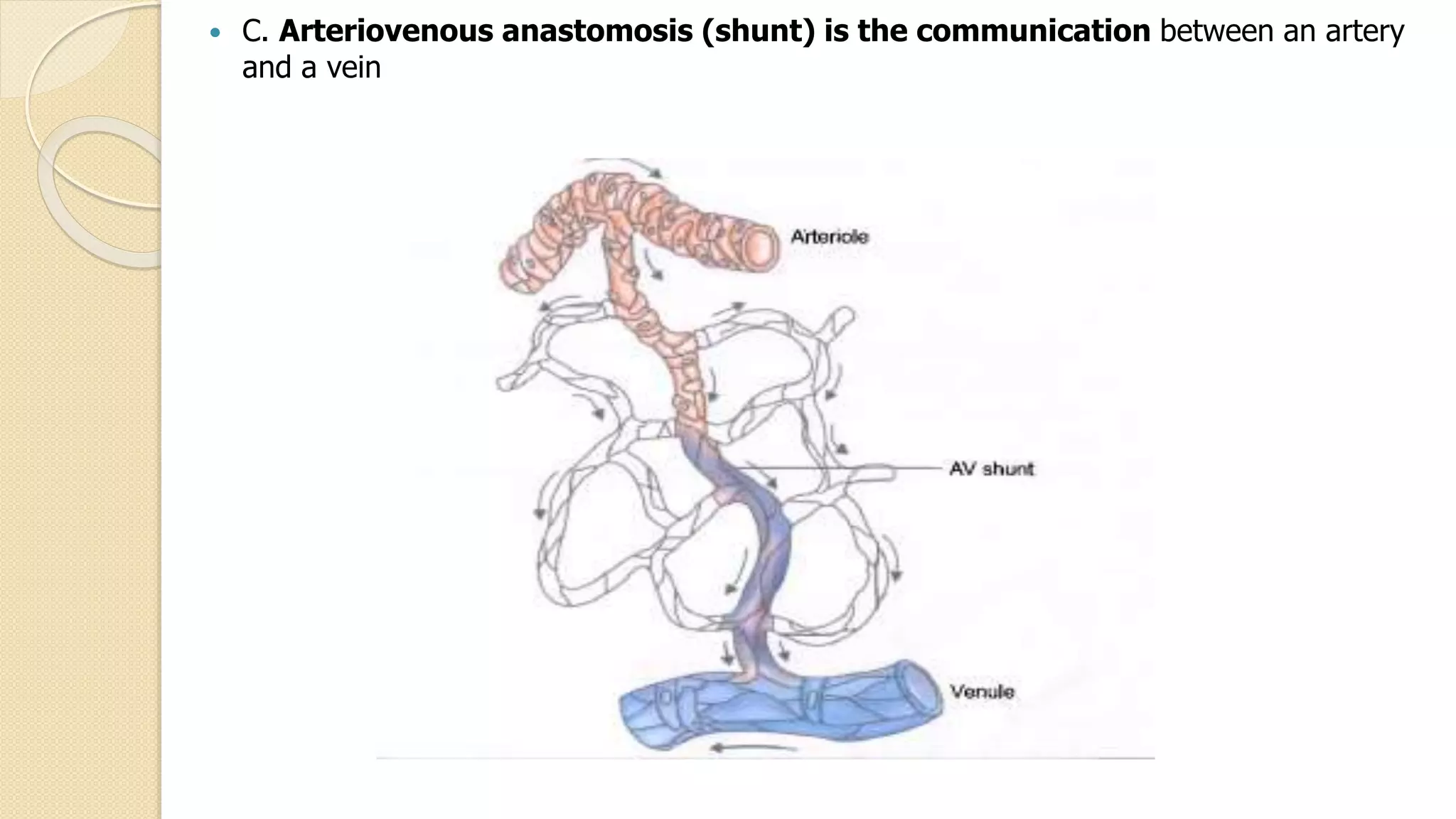 Anatomy of CVS.pptx