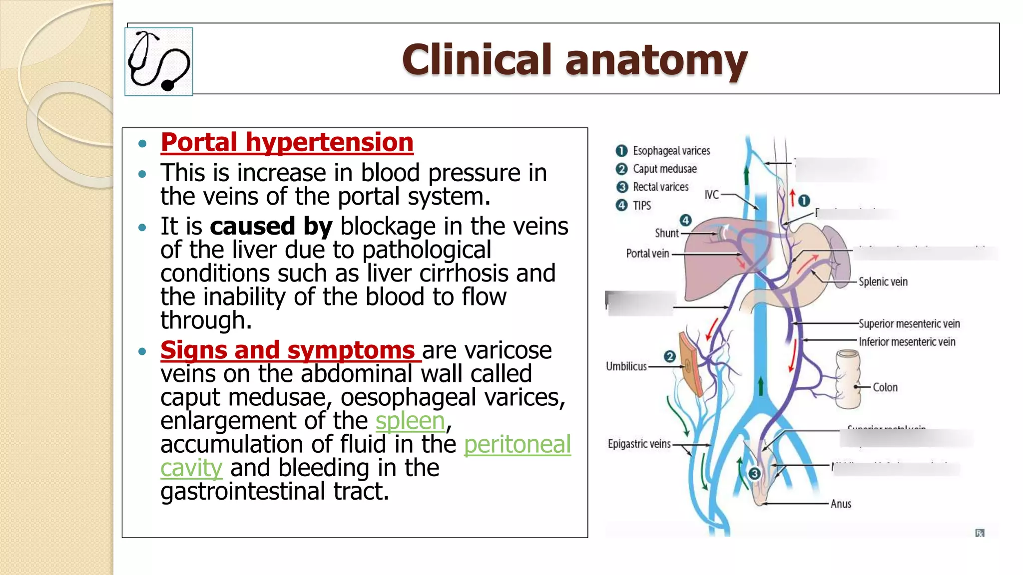 Anatomy of CVS.pptx