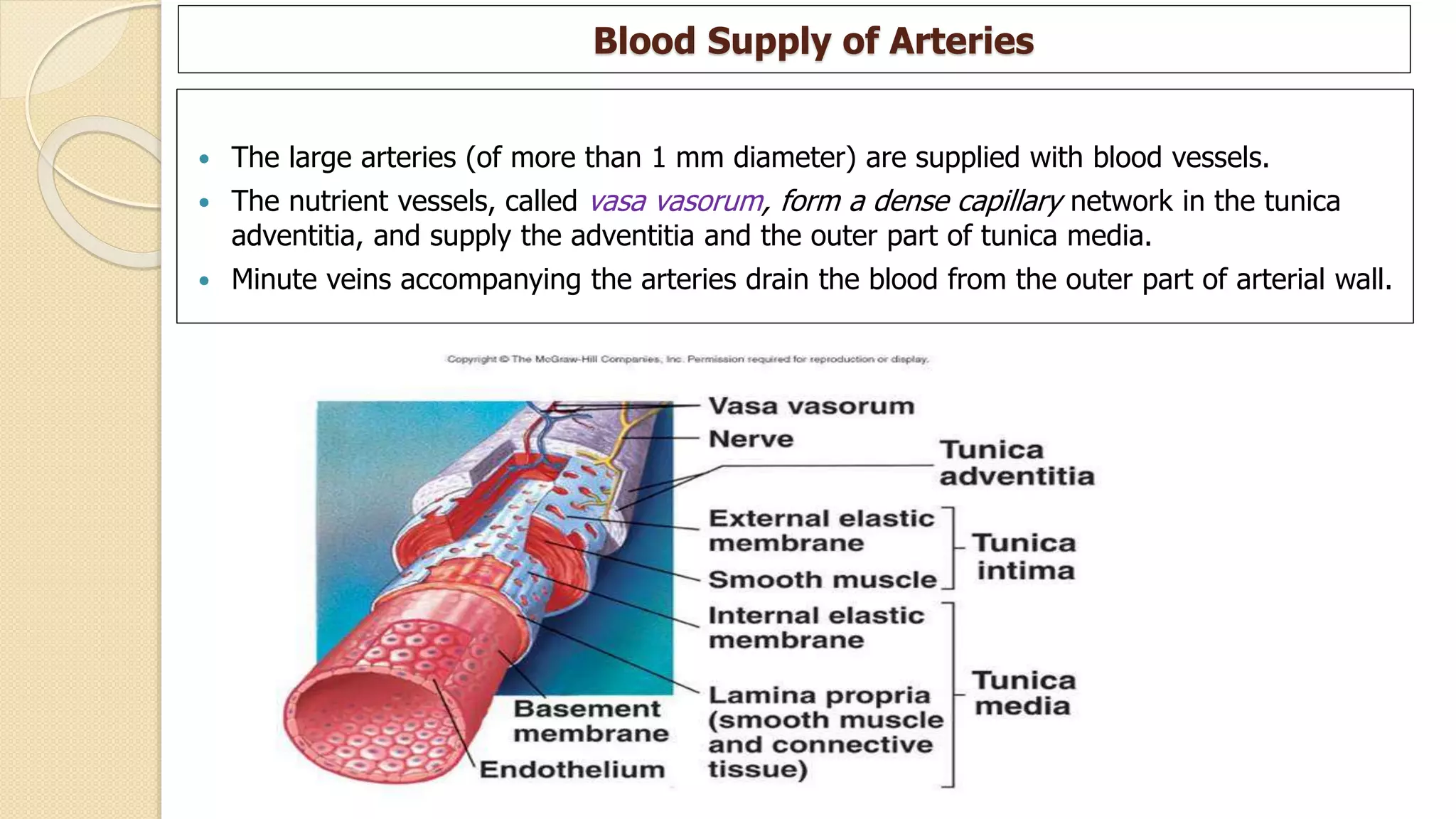 Anatomy of CVS.pptx