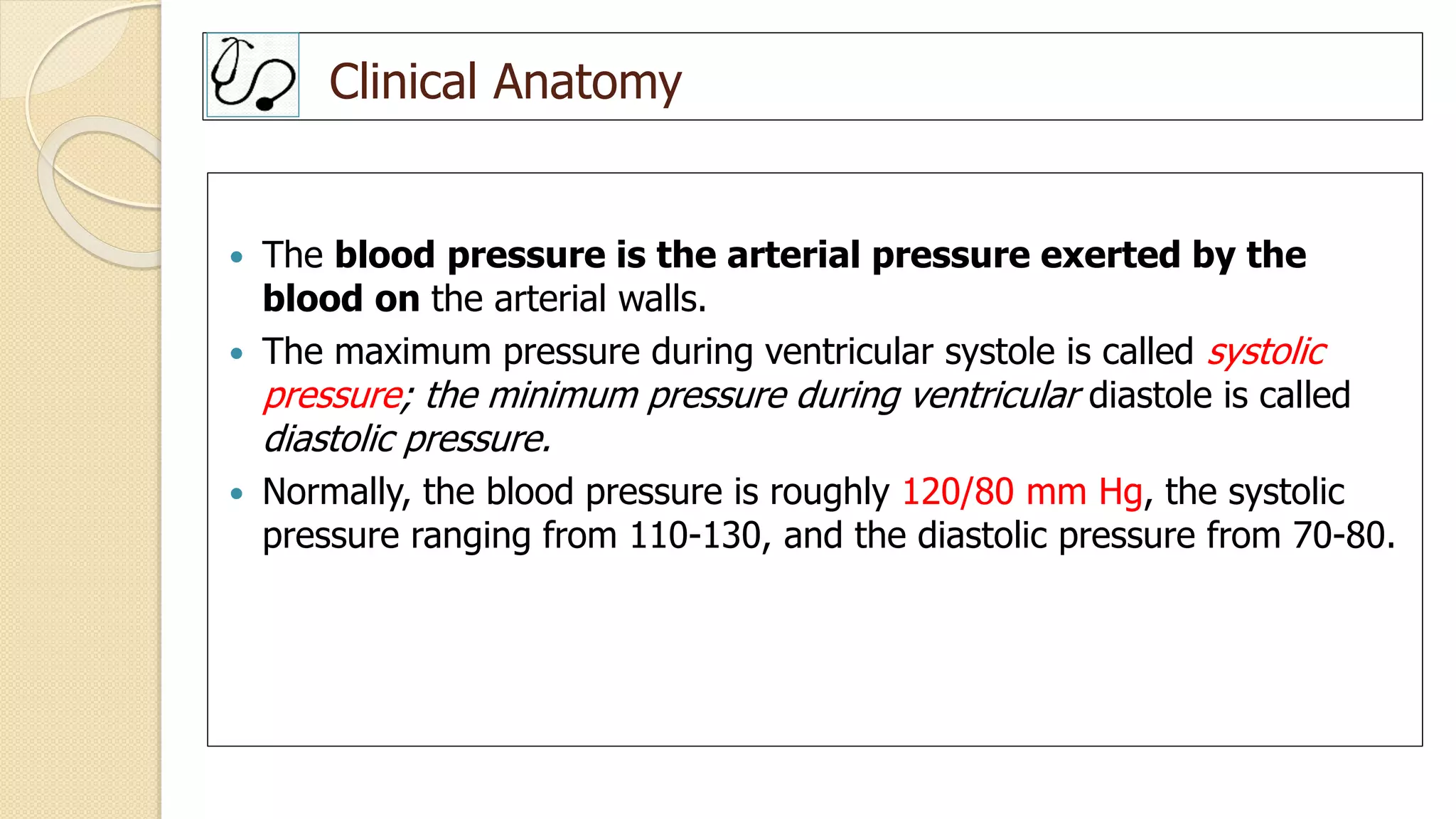 Anatomy of CVS.pptx