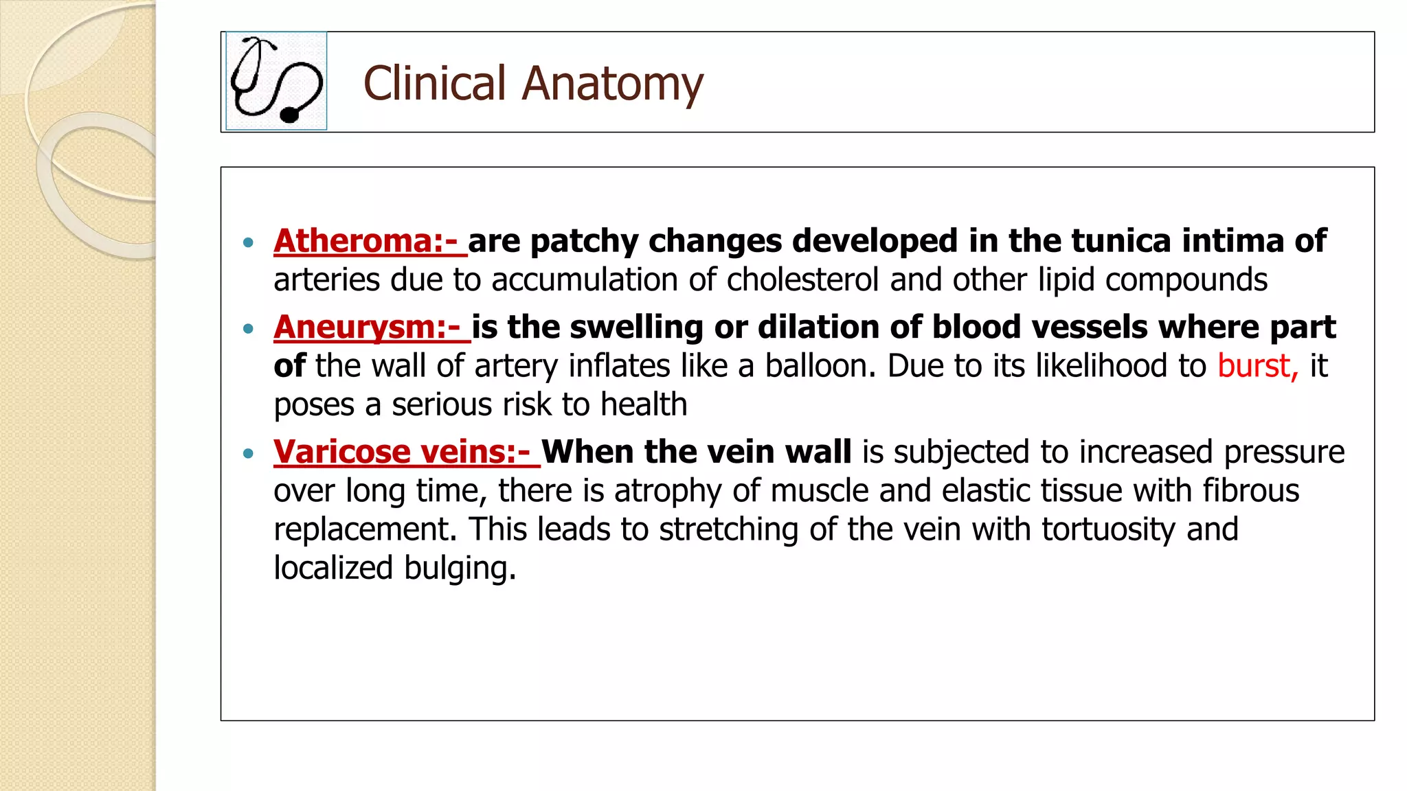 Anatomy of CVS.pptx