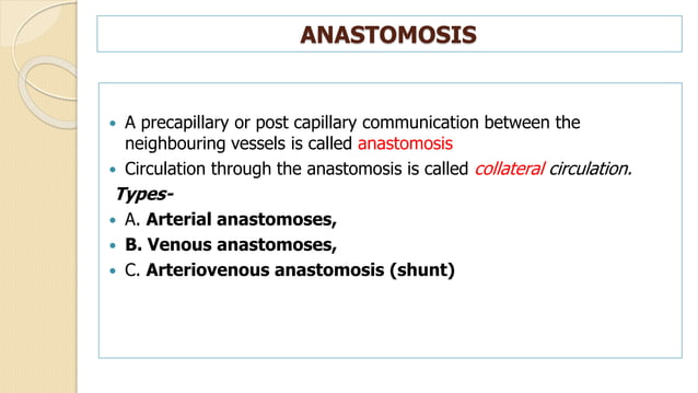 Anatomy of CVS.pptx
