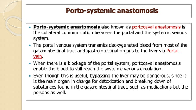 Anatomy of CVS.pptx