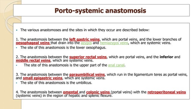 Anatomy of CVS.pptx