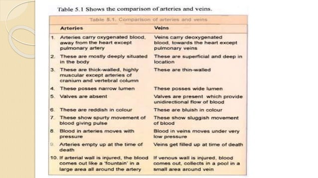 Anatomy of CVS.pptx