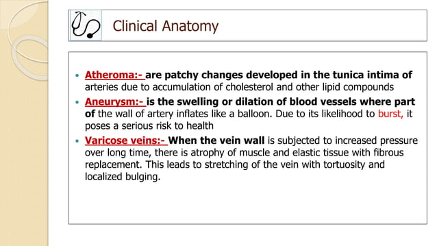 Anatomy of CVS.pptx
