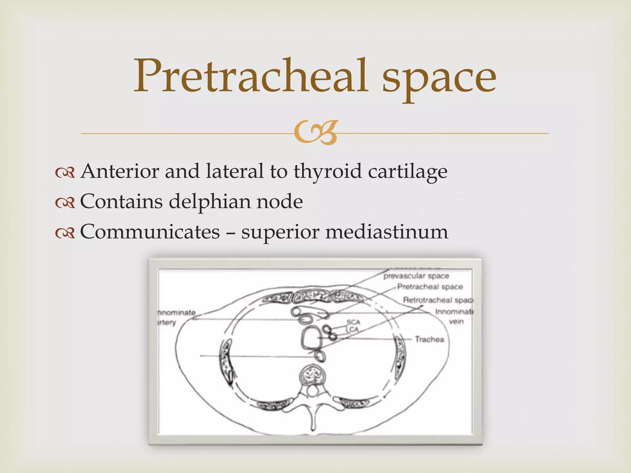 SURGICAL ANATOMY OF DEEP NECK SPACES | PPTX