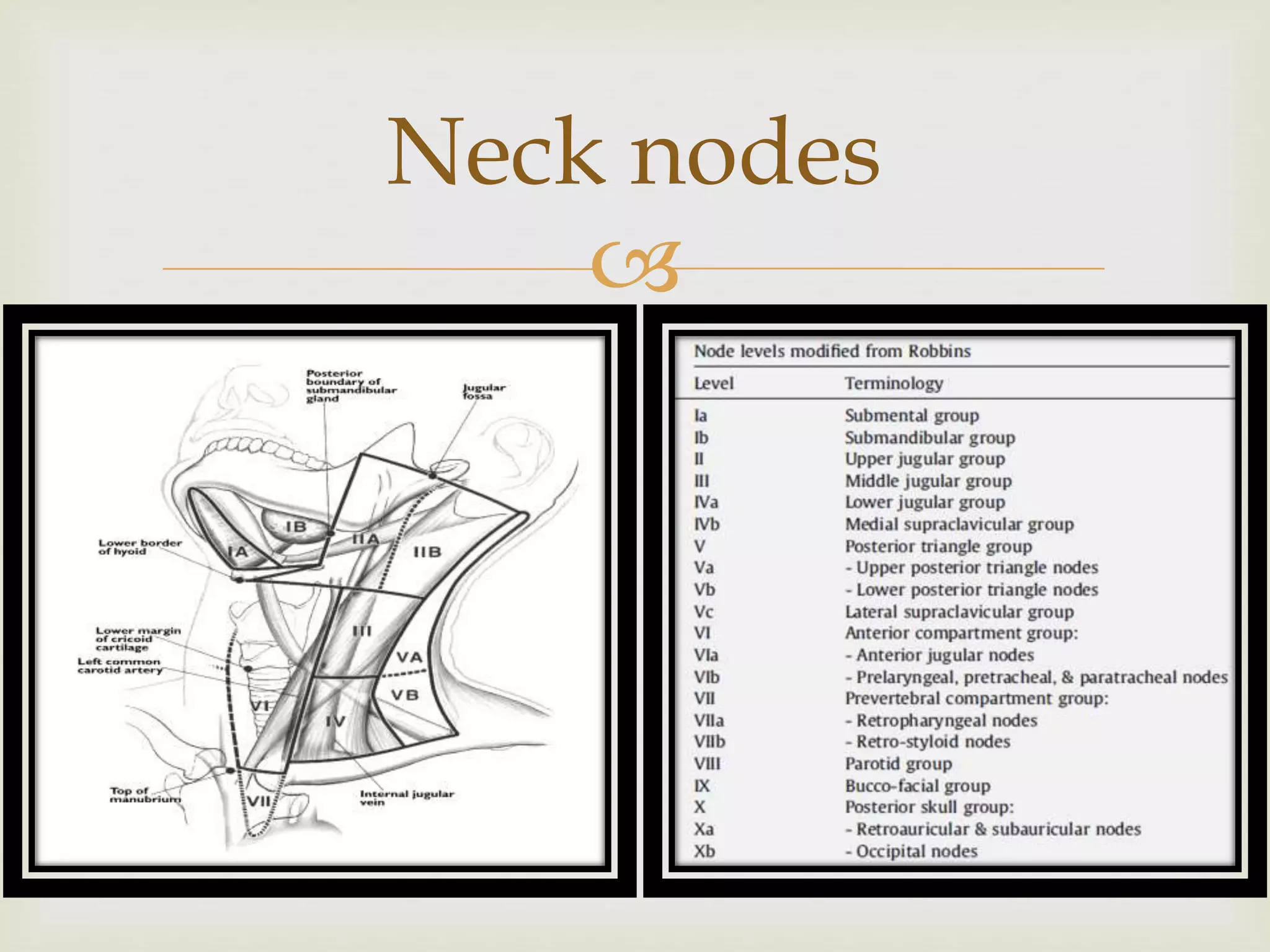 SURGICAL ANATOMY OF DEEP NECK SPACES | PPTX