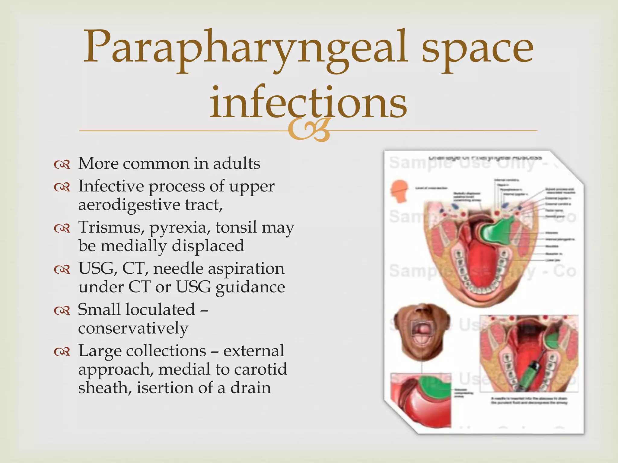 SURGICAL ANATOMY OF DEEP NECK SPACES | PPTX