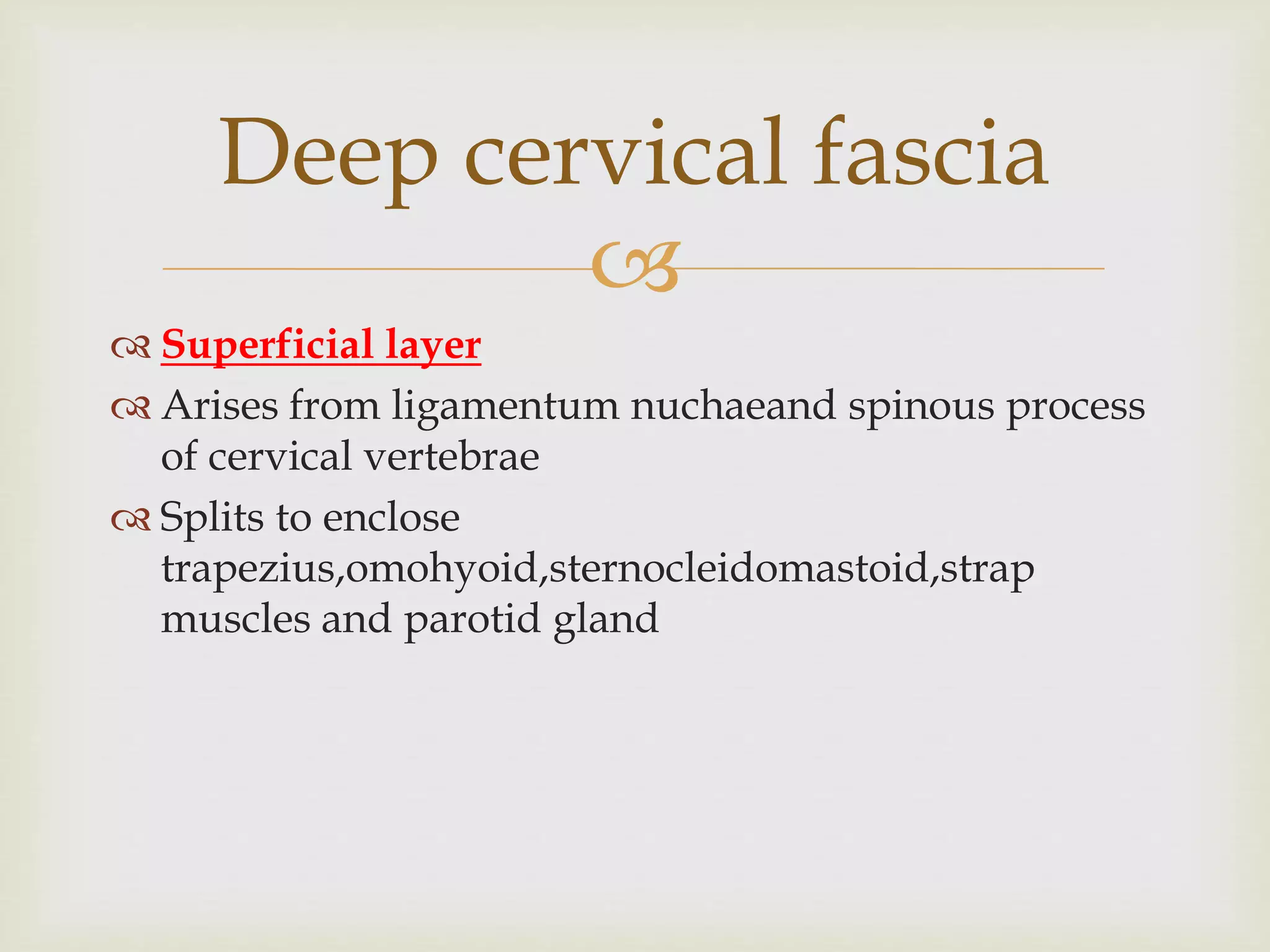 SURGICAL ANATOMY OF DEEP NECK SPACES | PPTX
