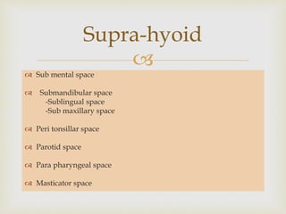 SURGICAL ANATOMY OF DEEP NECK SPACES | PPTX