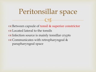 SURGICAL ANATOMY OF DEEP NECK SPACES | PPTX