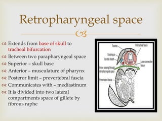 Retropharyngeal Space Boundaries