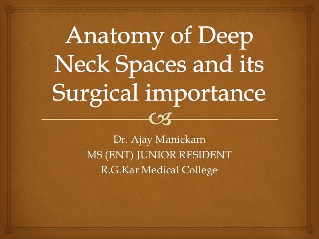 Deep Definition Anatomy