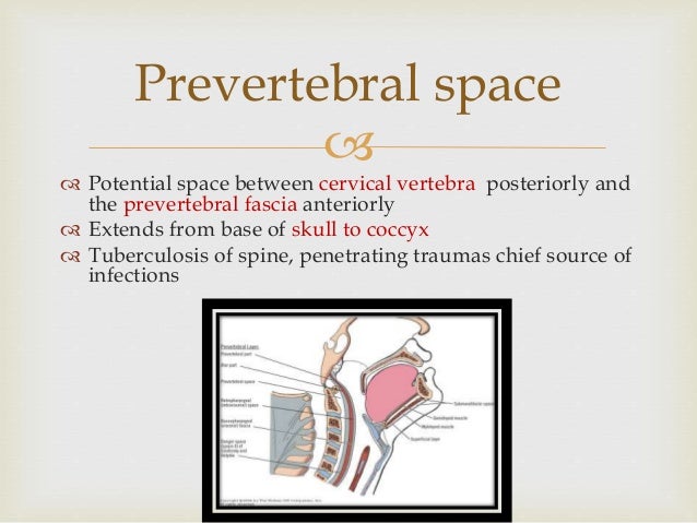 SURGICAL ANATOMY OF DEEP NECK SPACES