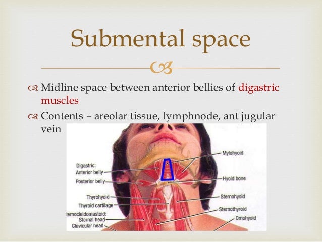 SURGICAL ANATOMY OF DEEP NECK SPACES