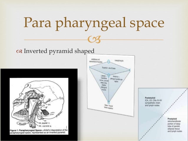 SURGICAL ANATOMY OF DEEP NECK SPACES