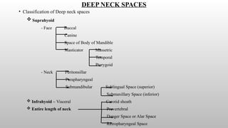Anatomy of deep neck spaces parapharyngeal & retropharyngeal.pptx